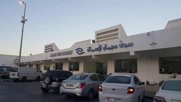 Places to Visit in Ajman: Best 10 Spots for 2026