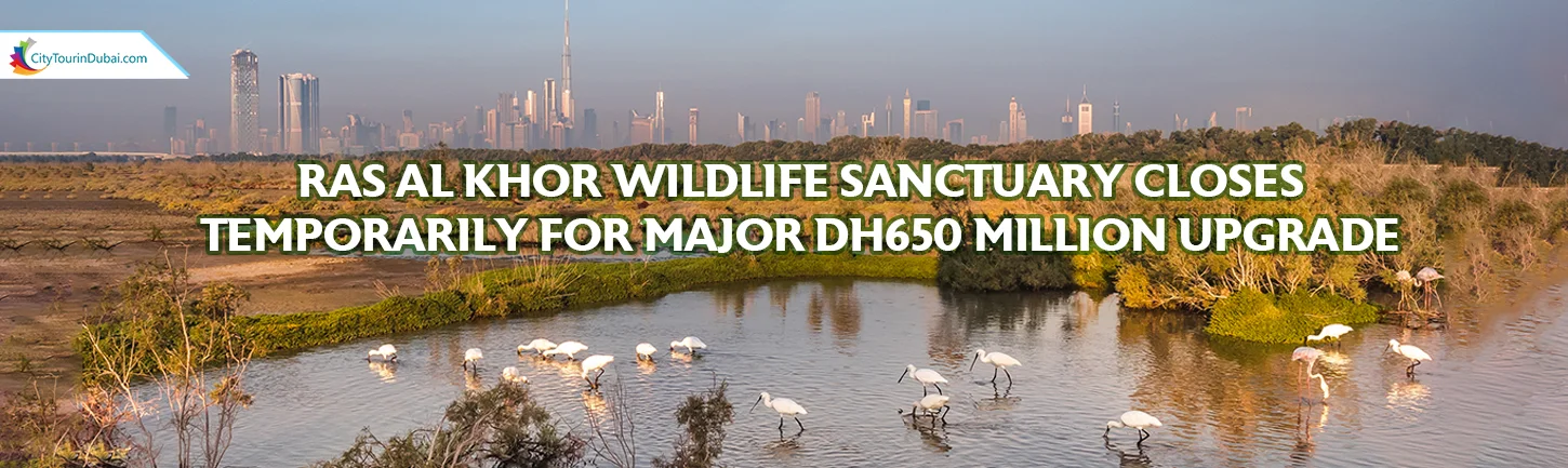 Ras Al Khor Wildlife Sanctuary Closes for Dh650M Upgrade